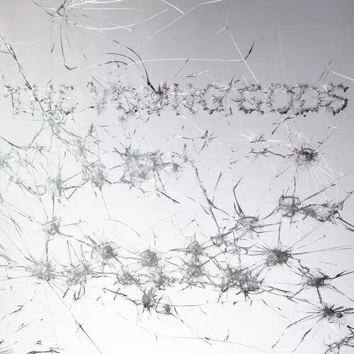 The Young Gods: Appear Disappear Vinyl, LP, CD | GRAMODESKY.CZ